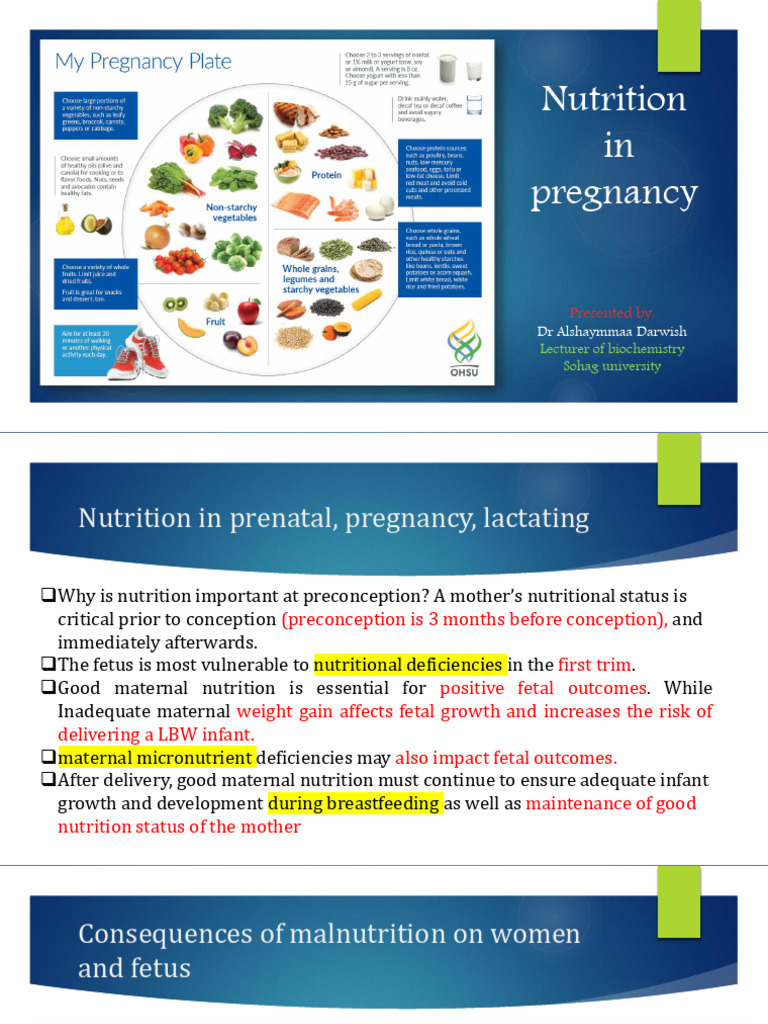 Nutrition in Pregenancy | PDF | Pregnancy | Fetus