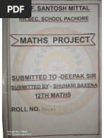 Maths Project Class 11 | PDF | Mathematics | Concept