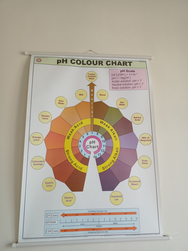 PH Chart | PDF