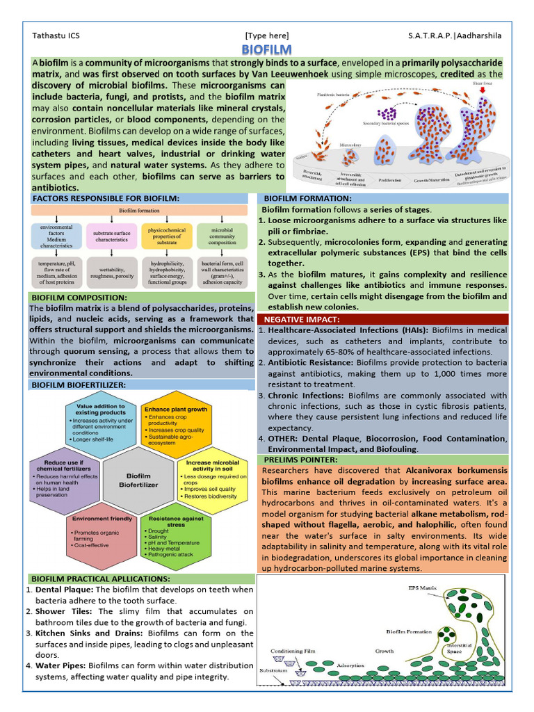 Biofilm 1 | PDF | Biofilm | Bacteria