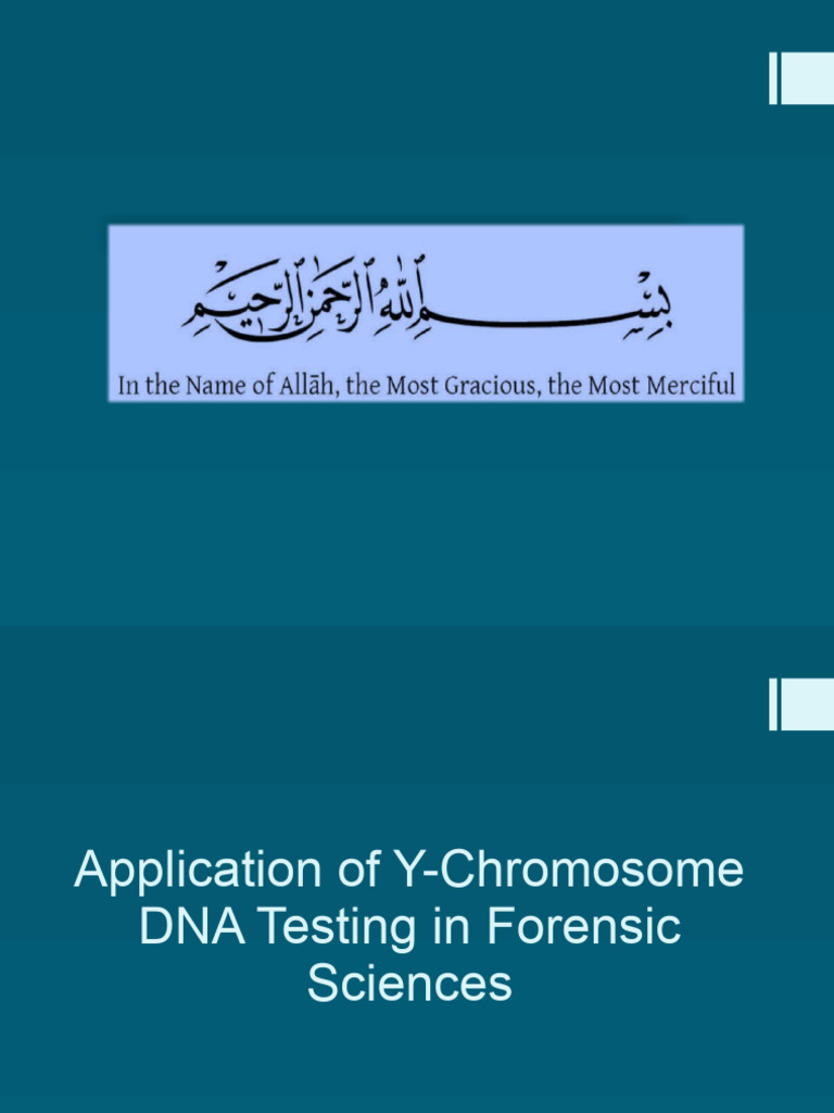 Y Chromosome | PDF | Haplotype | Microsatellite