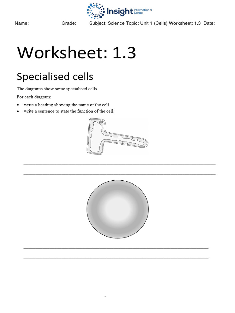 Science Unit-1 (Cells) Worksheet 3 | PDF