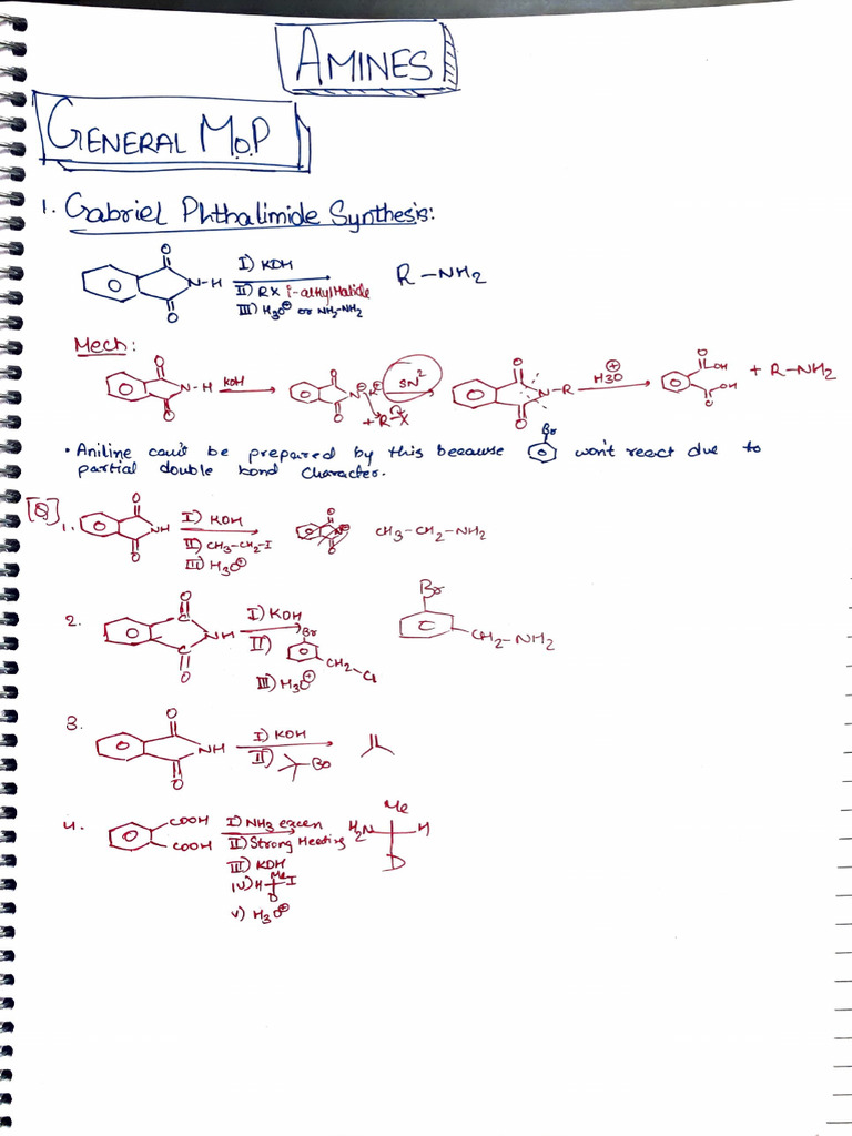 Amines Notes | PDF