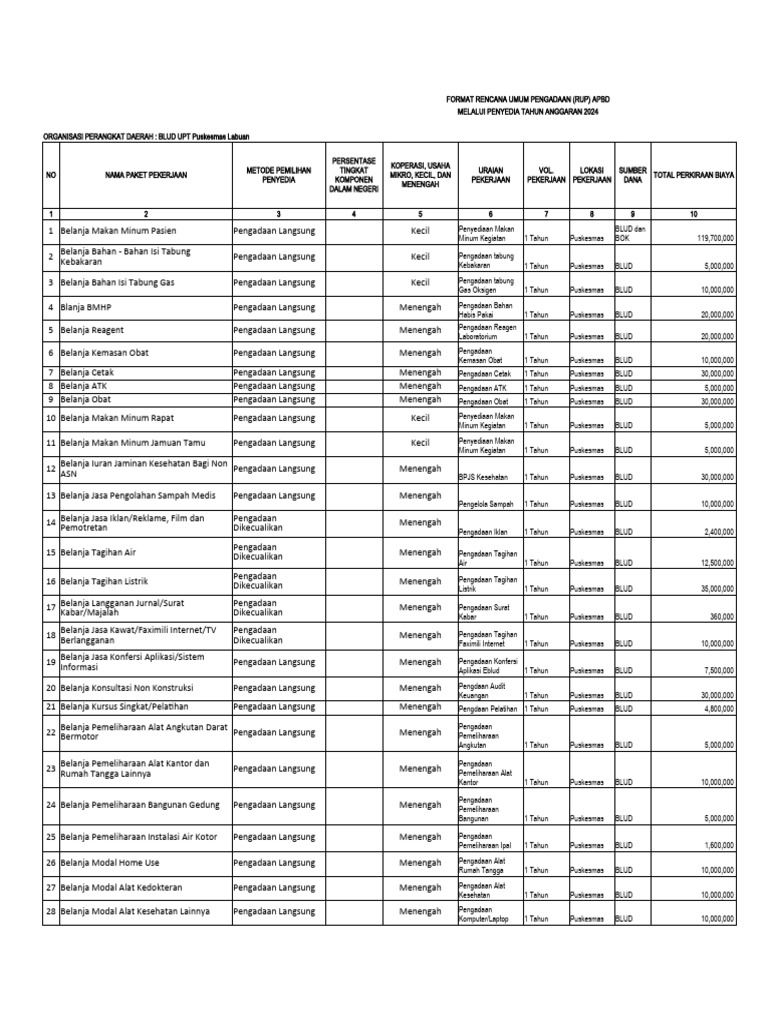 Format RUP BLUD PKM LABUAN | PDF