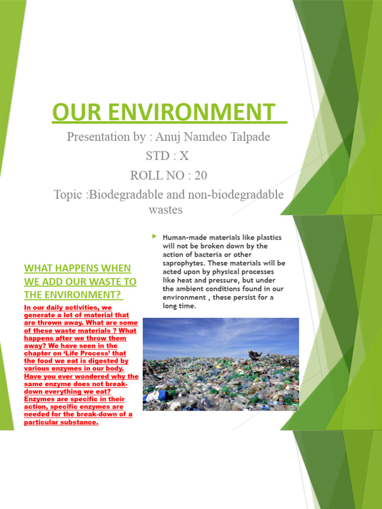 Our Environment | PDF