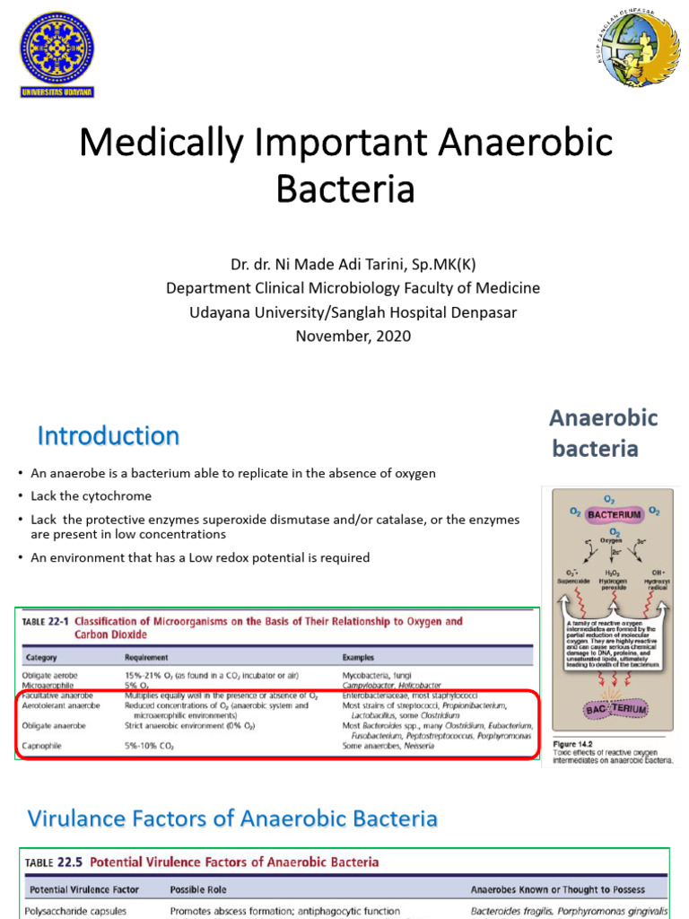 Overview of Medically Important Anaerobic Bacteria | PDF ...