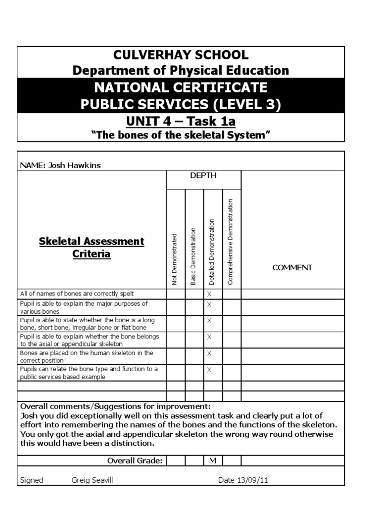Skeletal System Assessment Report | PDF