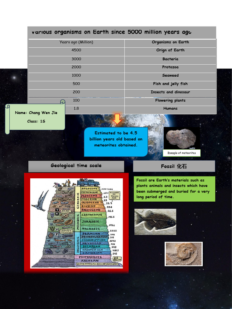 Science Project (Age of Earth) | PDF
