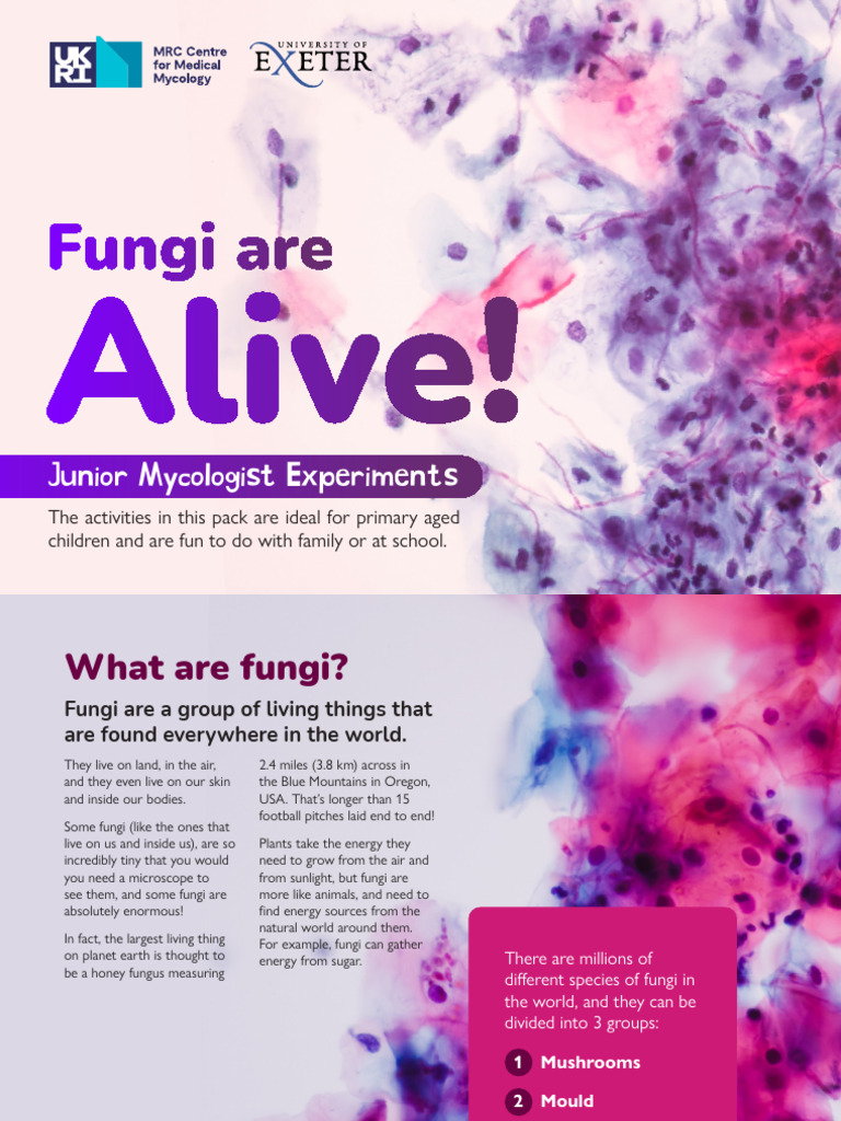 Fungi Are Alive | PDF | Fungus | Mold
