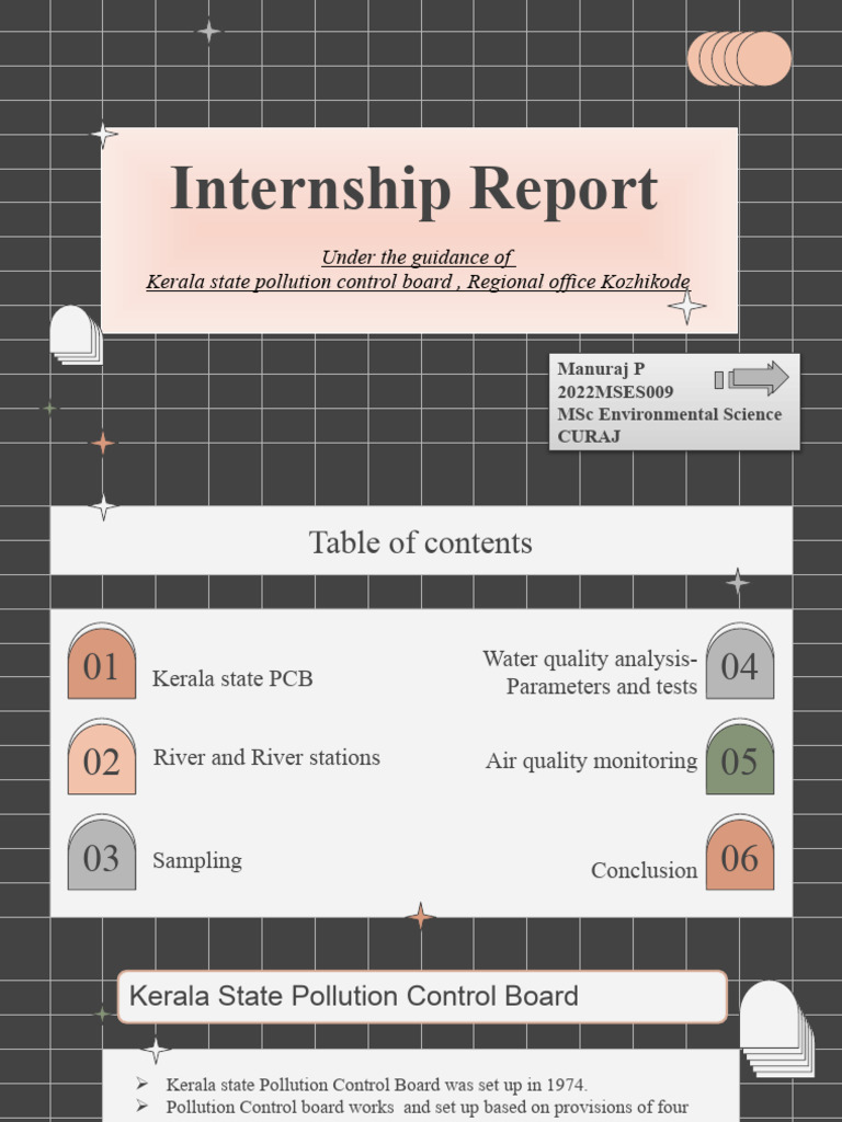 INTERNSHIP | PDF