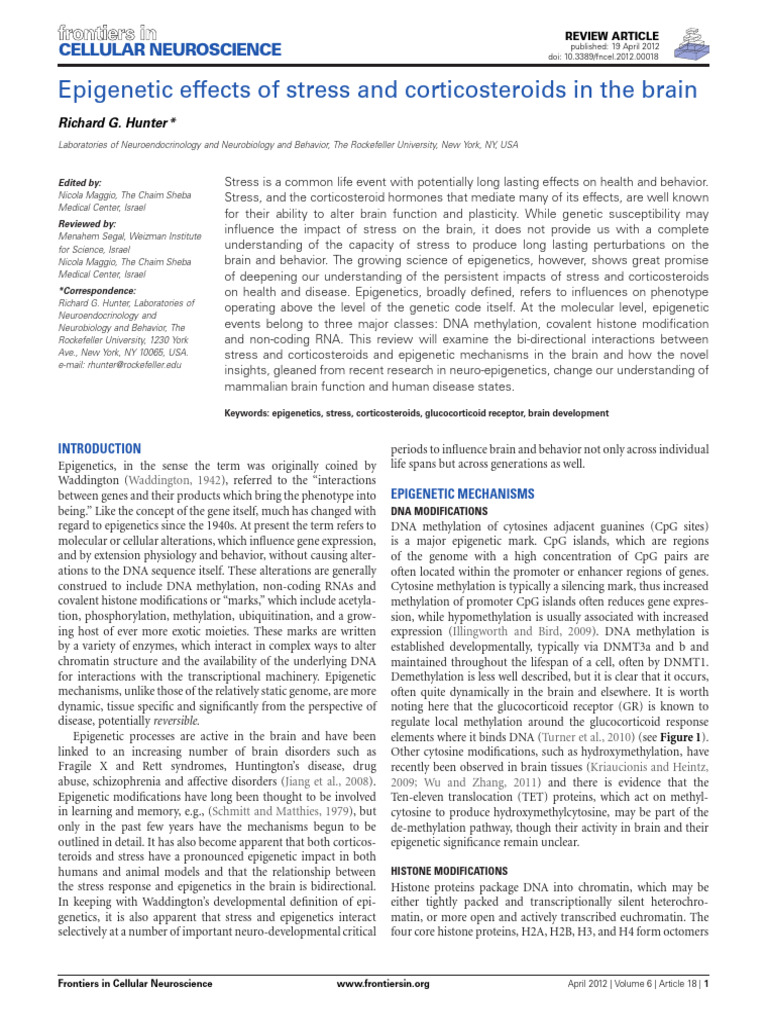 Epigenetic Stress On The Brain | PDF | Epigenetics | Histone