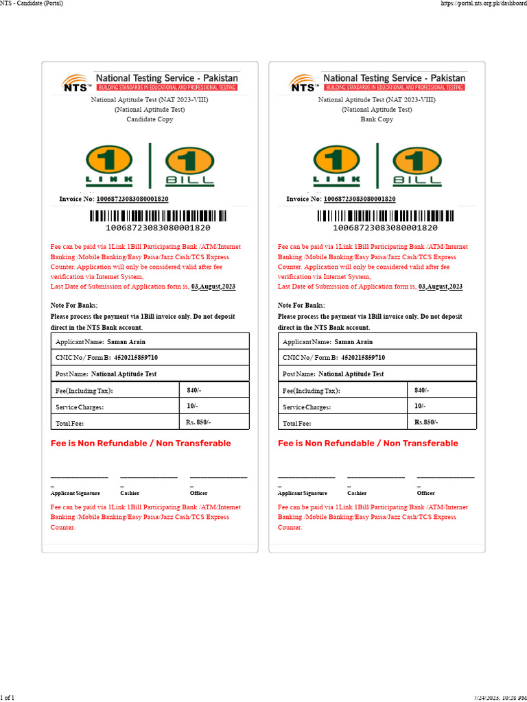 NTS - Candidate (Portal) | PDF