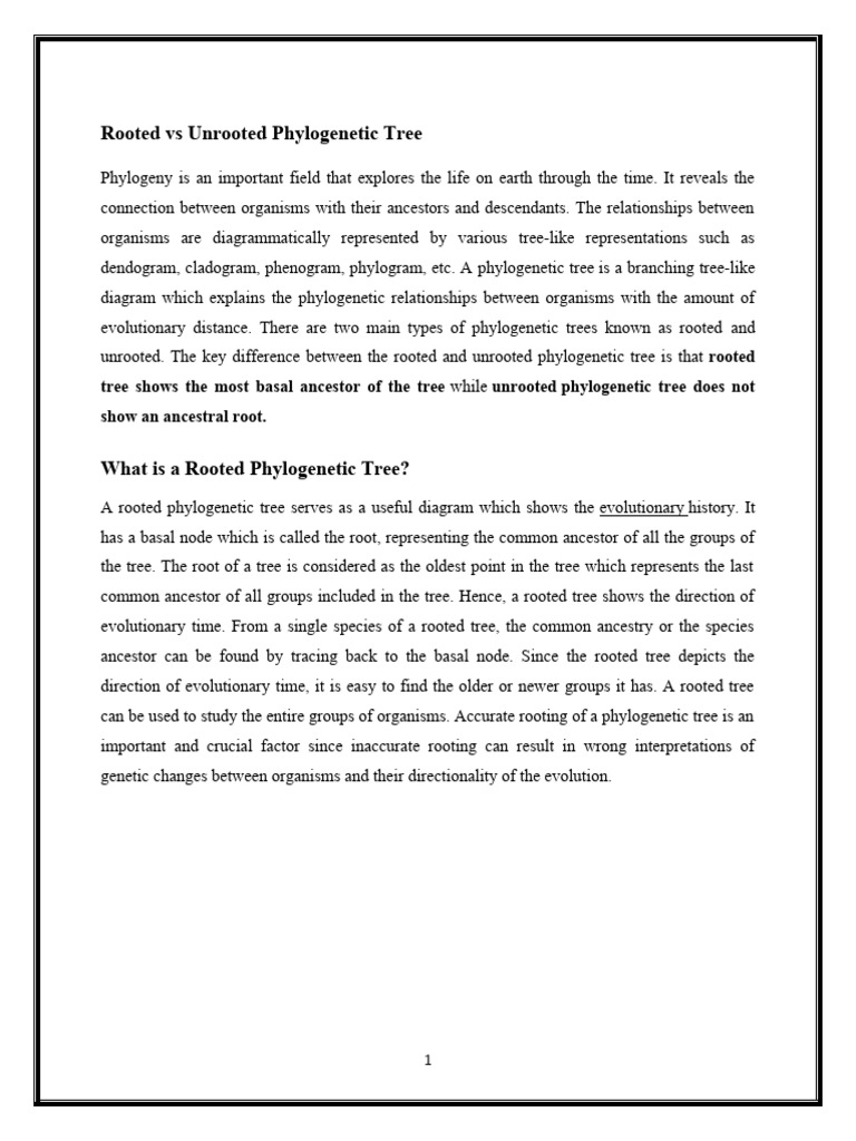 Rooted Vs Unrooted Tree | Download Free PDF | Phylogenetic Tree ...