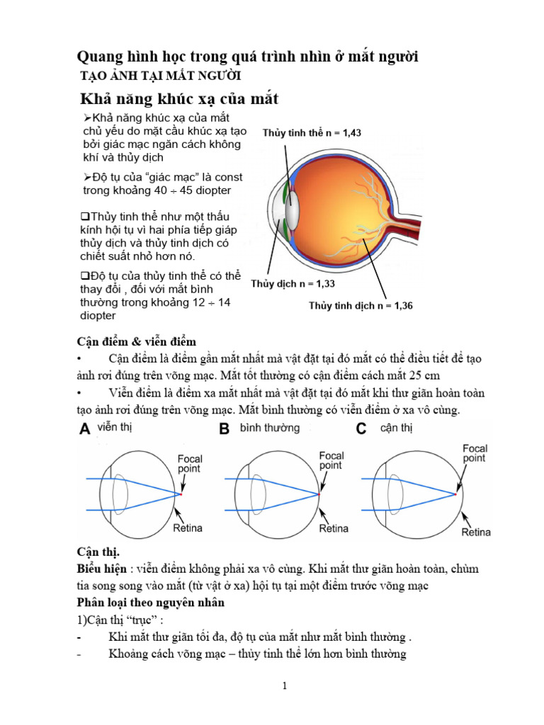 Quang Hinh Hoc Mat + Thu Cam Anh Sang Cử Nhân Short (Updated 2019) | PDF