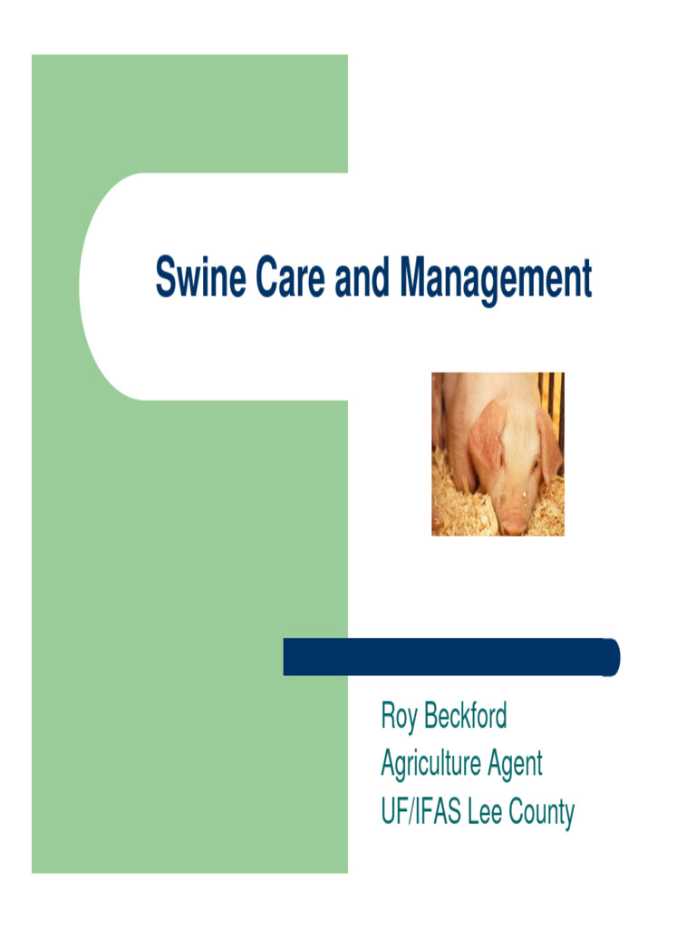 Swine Care and Management | PDF