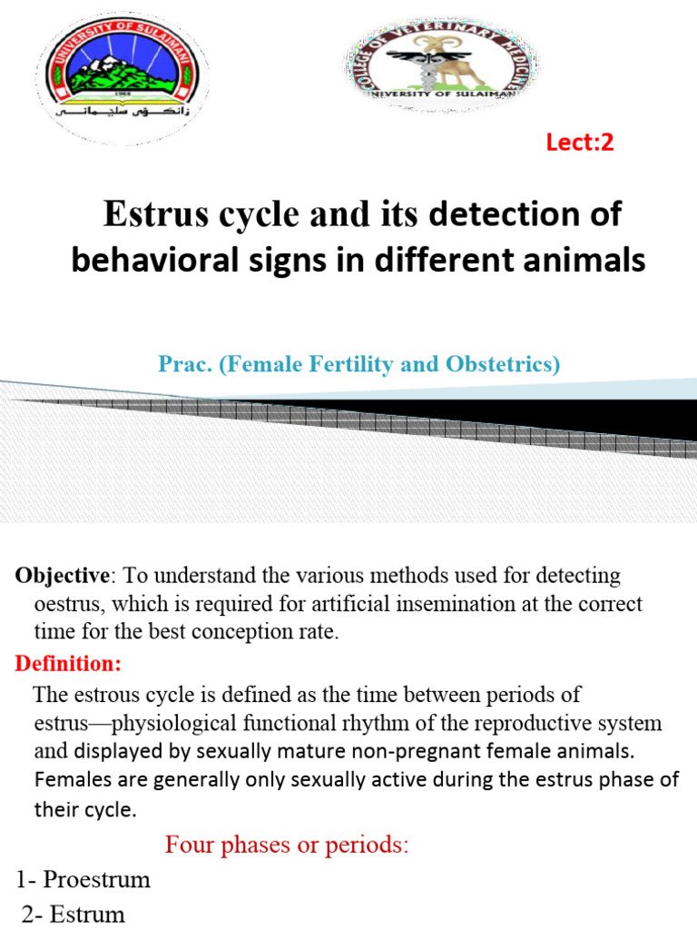 Lec 2 Prac Estrous Cycle | PDF