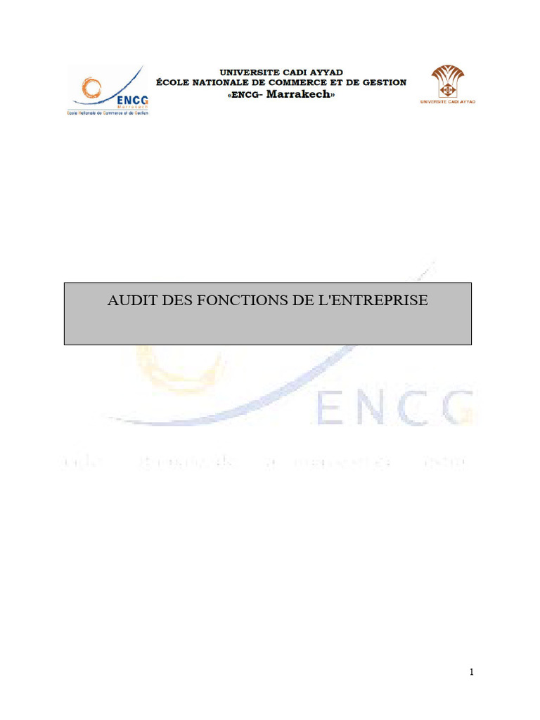 Exemples D'audit Des Fonctions de L'entreprise | PDF