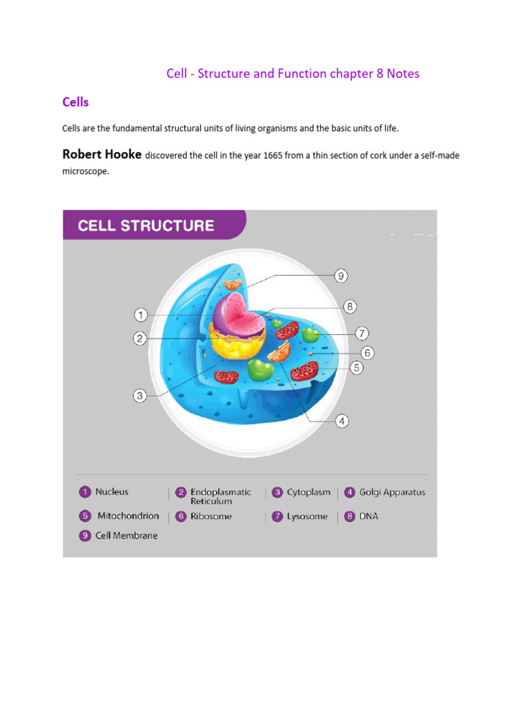 Cell Notes | PDF | Cell (Biology) | Endoplasmic Reticulum