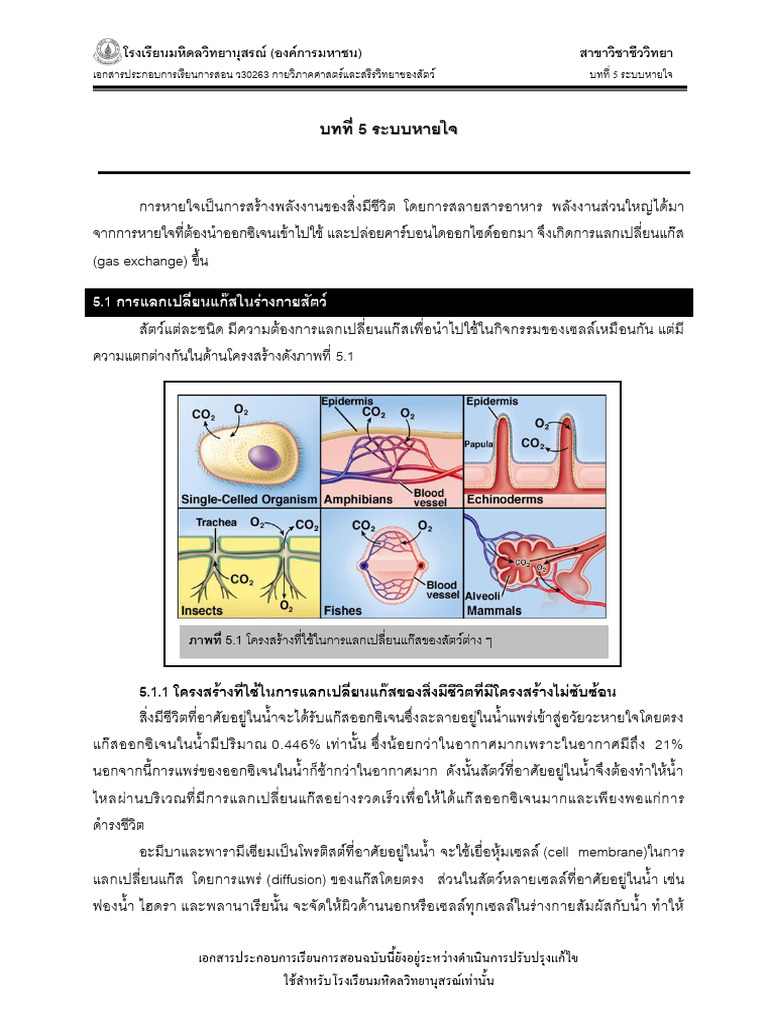 5 Mwit Ac TH | PDF