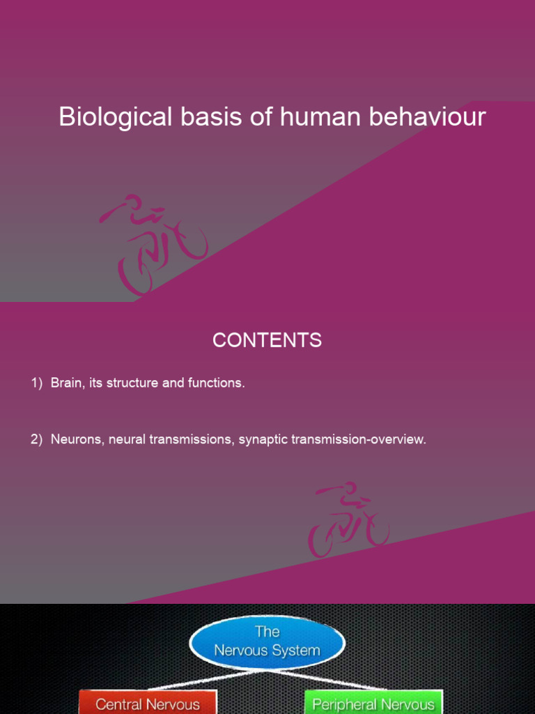 Biological Basis of Human Behavior | PDF
