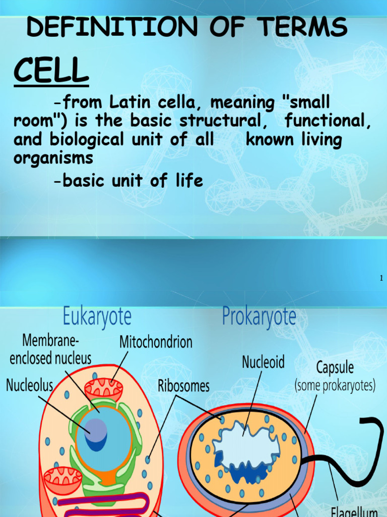 Cell Structure | PDF