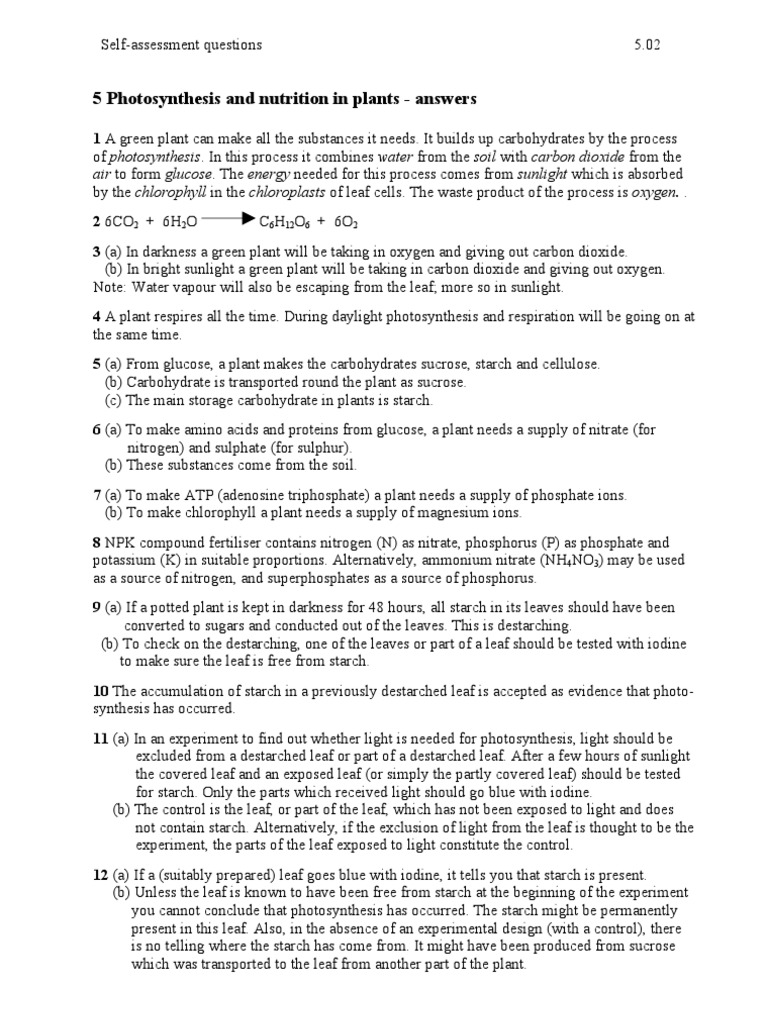 Photosynthesis Answers | PDF | Photosynthesis | Plants