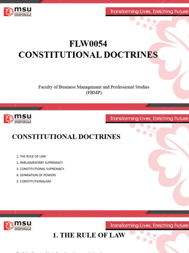 Chapter 4 Constitutional Doctrines | PDF | Separation Of Powers | Rule ...