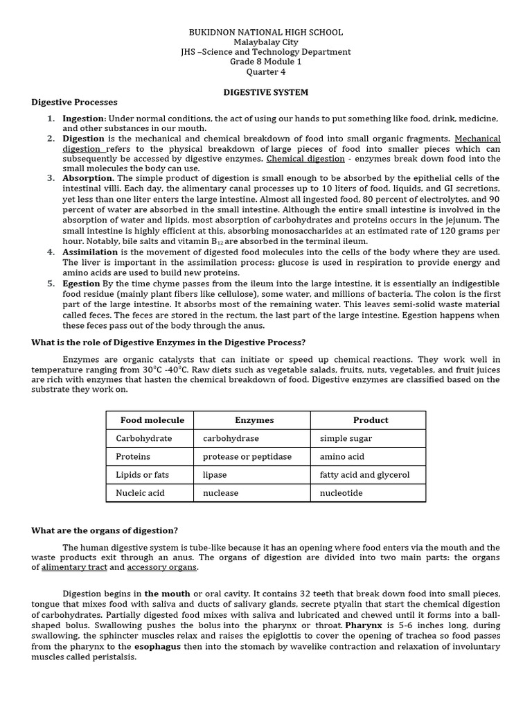 Modular Handout and Worksheet For April 19-21-2023 | PDF | Digestion ...