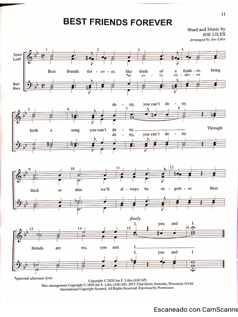 Best Friends Forever | PDF