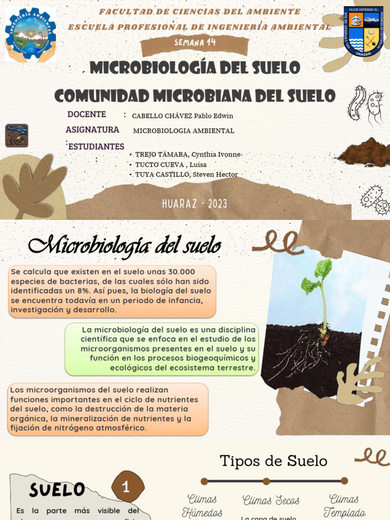 CLASE 13. Microbiología Del Suelo | PDF