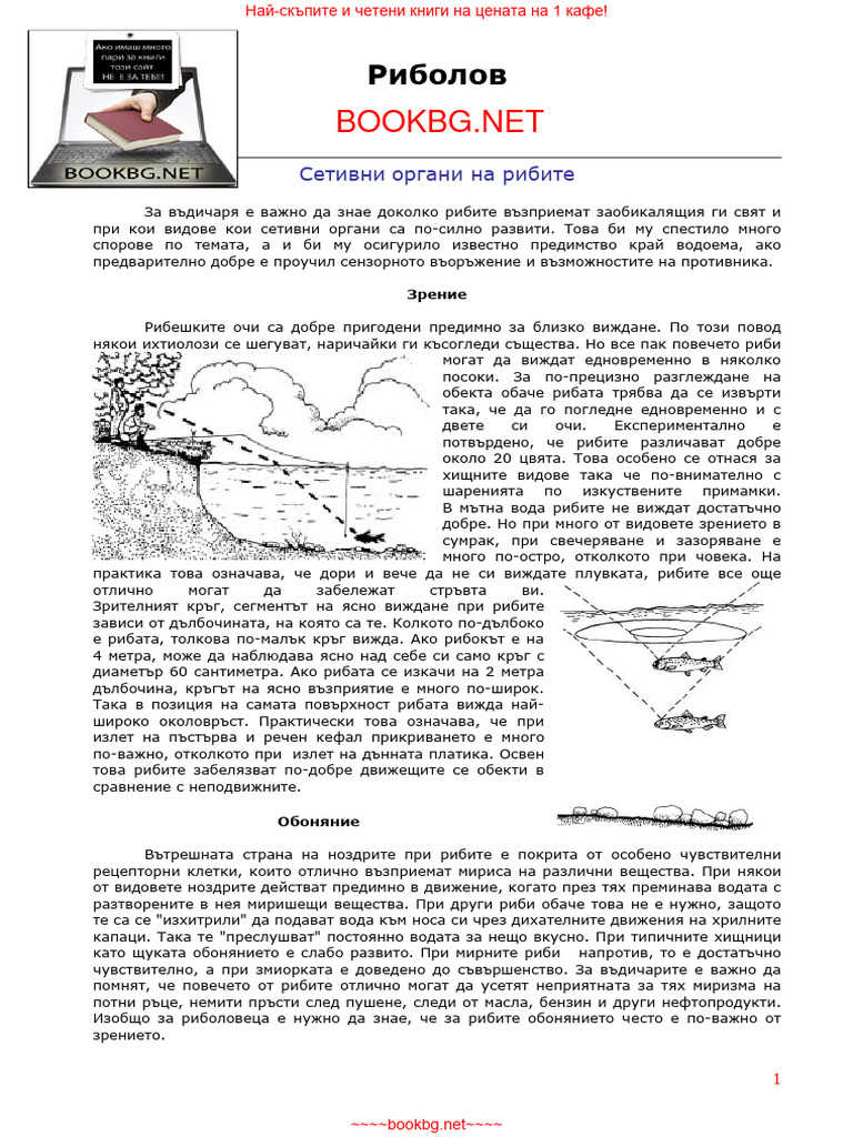 BG Ribolov | PDF