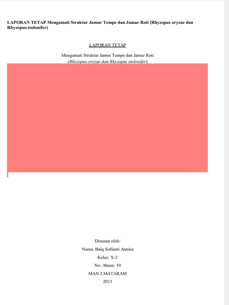 Dokumen - Tips - Laporan Tetap Mengamati Struktur Jamur Tempe Dan Jamur Roti | PDF