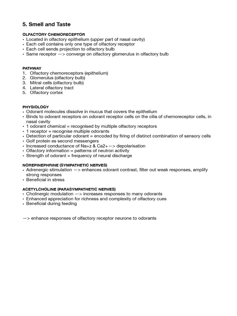 Dental Notes 1 | PDF
