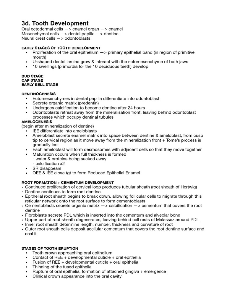 Dental Notes 3 | PDF