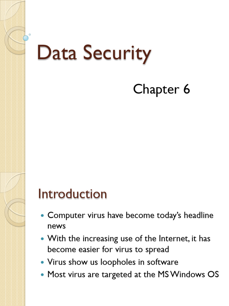 Chapter 6 - Data Security Issues | PDF