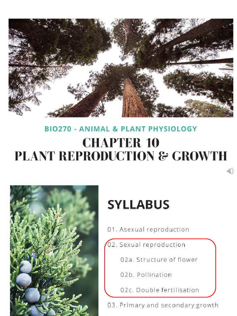 Chapter 10 - Plant Reproduction & Growth P2 | PDF