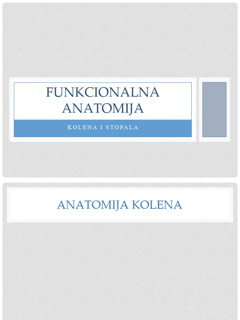 Funkcionalna Anatomija | PDF