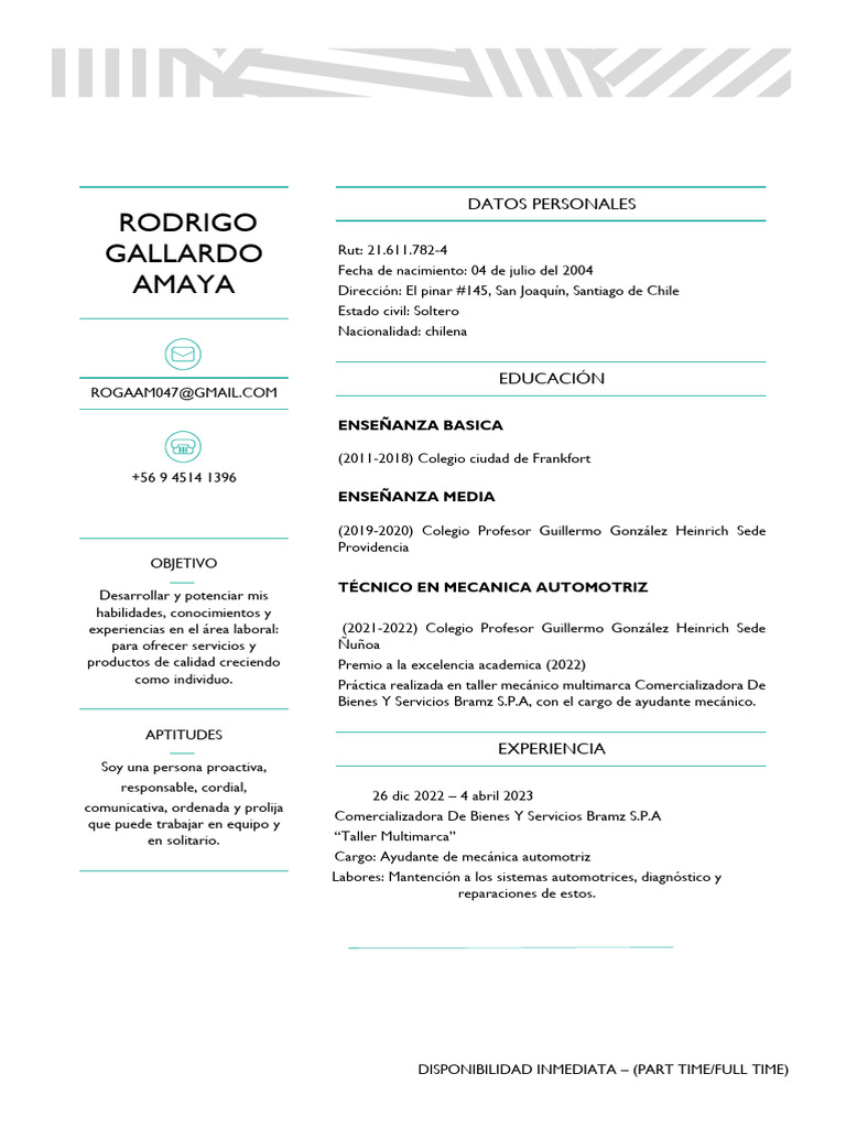 CV Rodrigo Gallardo | PDF