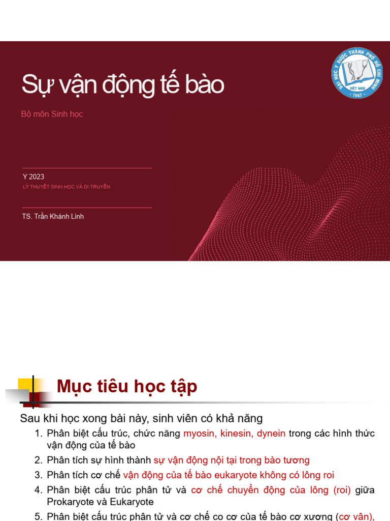 Y23 SVD (2t) LINH | PDF