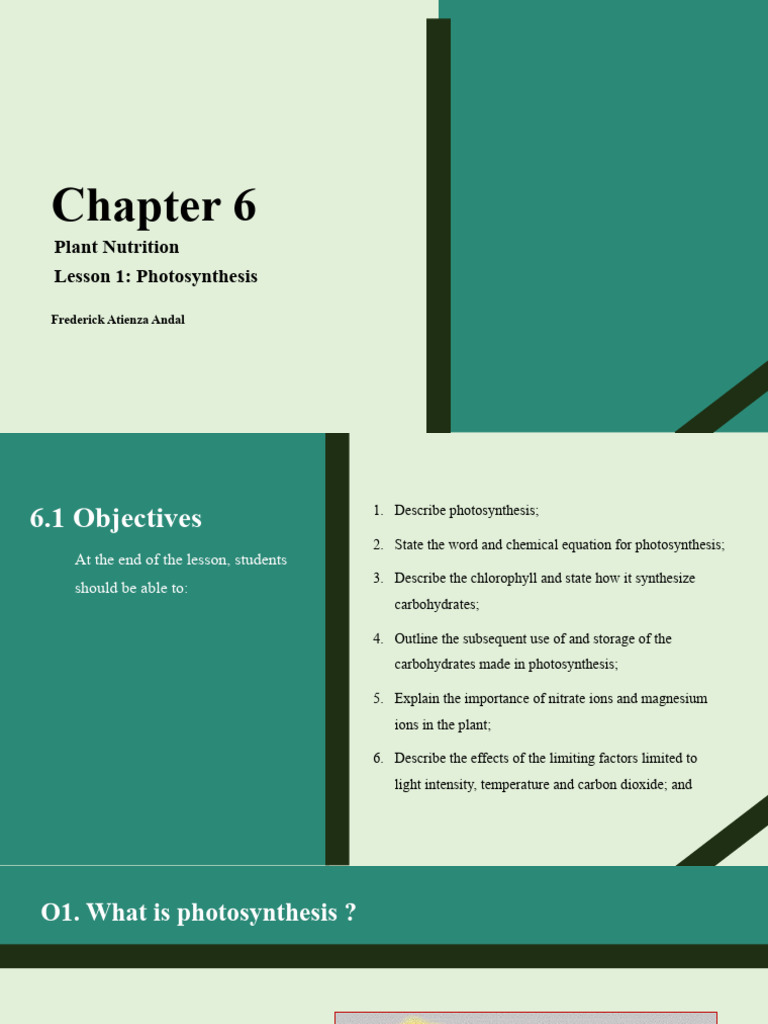 Chapter 6 Lesson 1 Photosynthesis | PDF | Photosynthesis | Carbon Dioxide