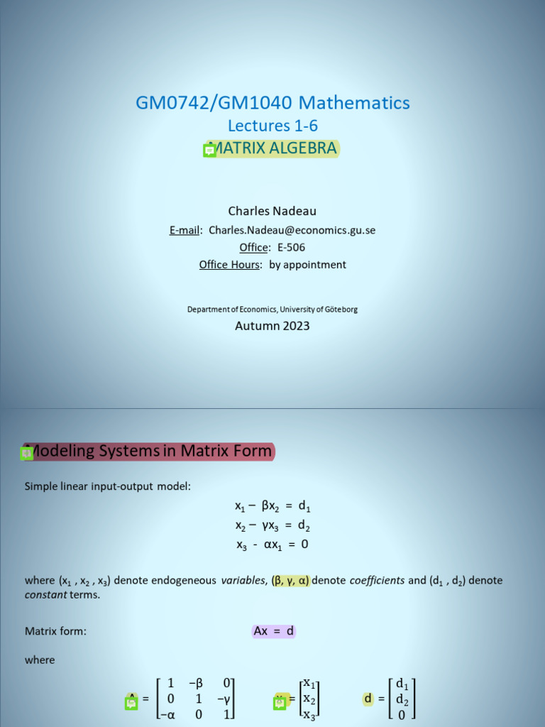 Matrix Algebra | PDF | Matrix (Mathematics) | Determinant