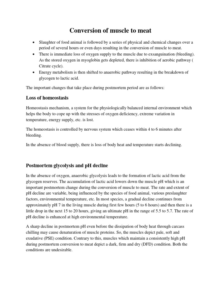 Lecture 2 Conversion of Muscle To Meat | PDF | Skeletal Muscle | Glycolysis