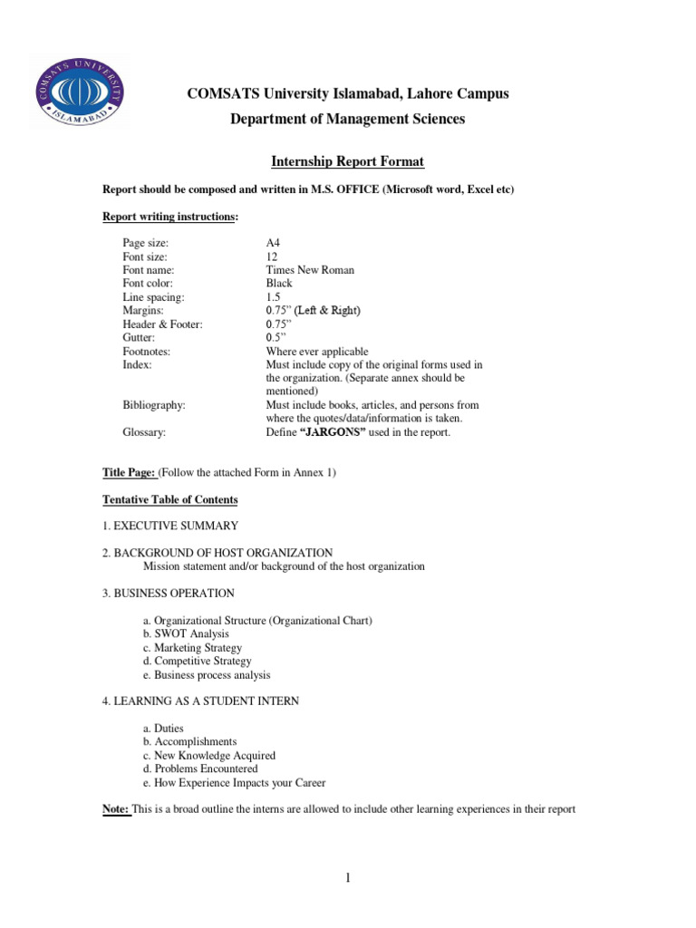Internship Report Format | PDF | Microsoft Word | Microsoft Excel