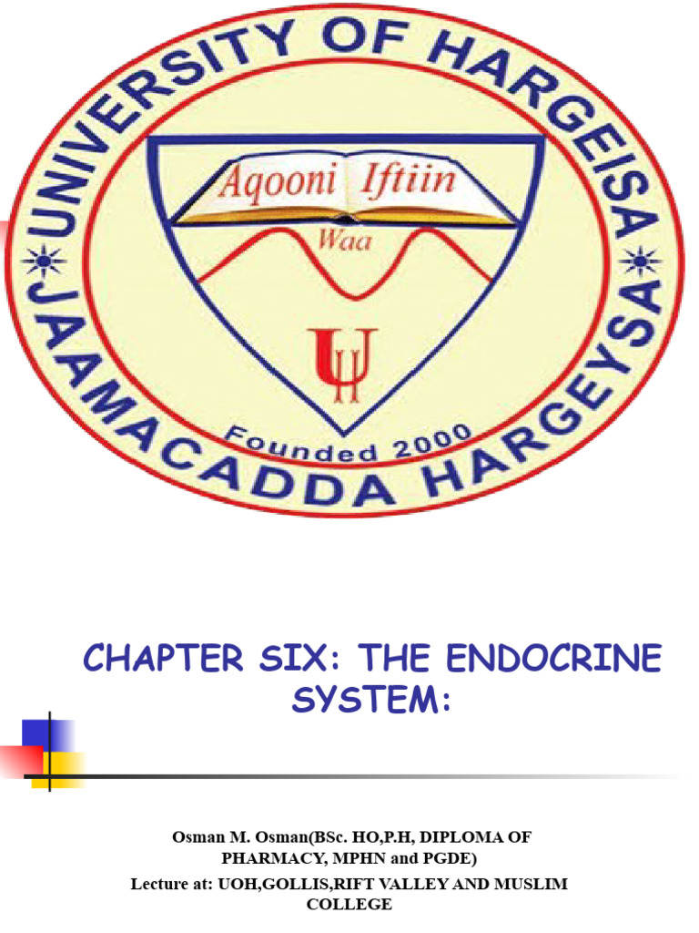 HAP 2 CH 6 Endocrine System | PDF HAP 2 CH 6 Endocrine System | PDF