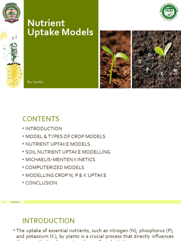 Nutrient Uptake Models (Sachin) | PDF | Diffusion | Soil