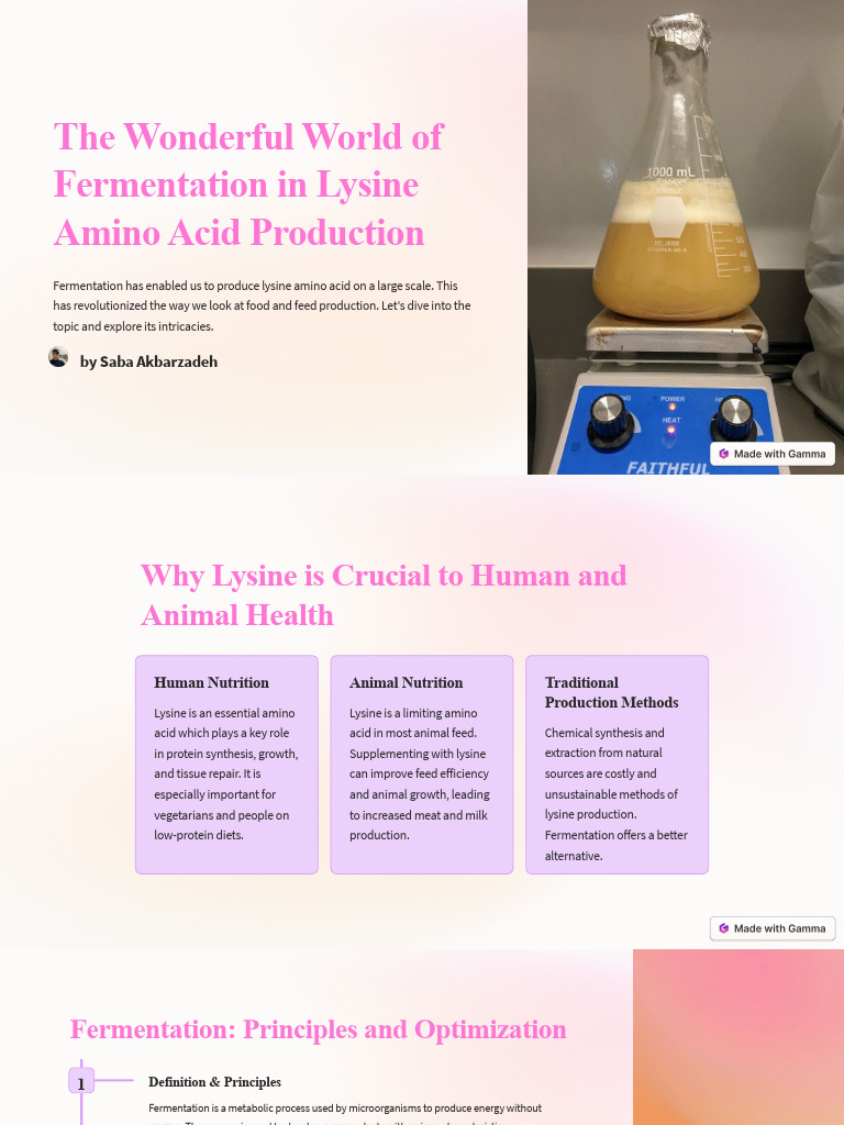 The Wonderful World of Fermentation in Lysine Amino Acid Production | PDF