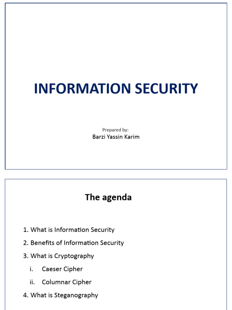 Information Security | PDF