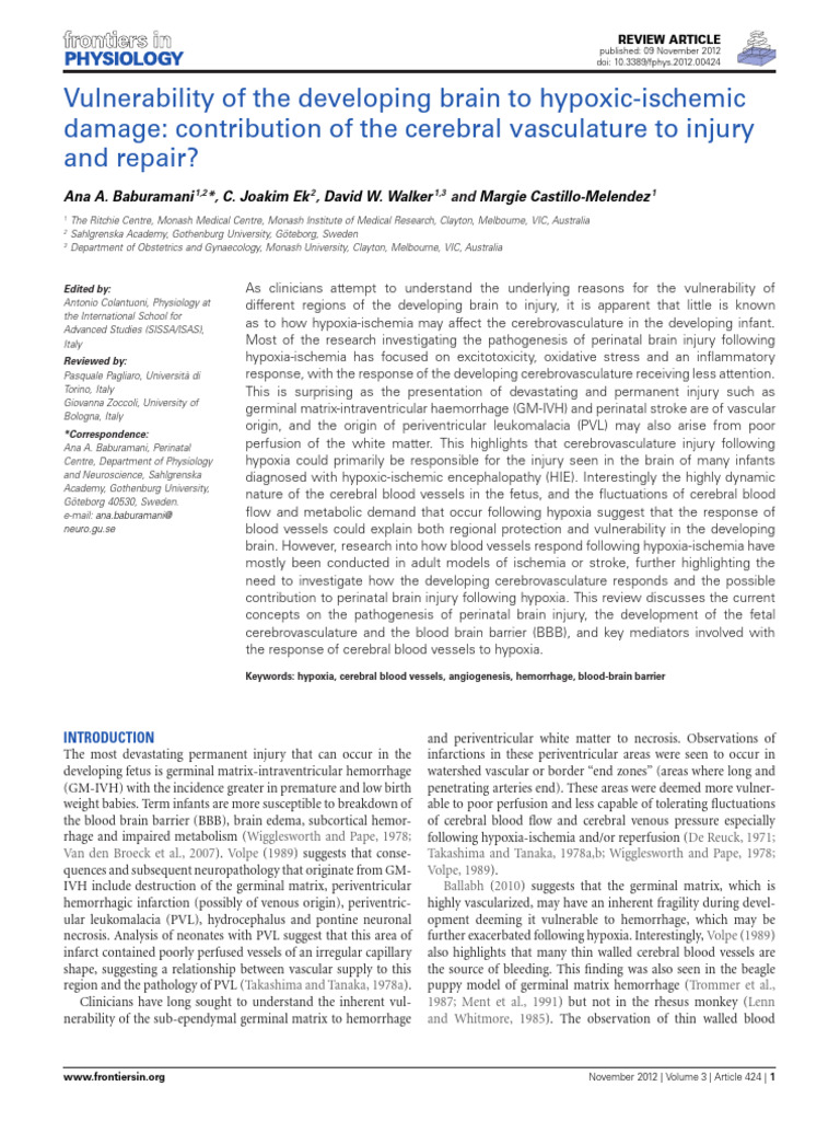 Vulnerability of The Developing Brain To Hypoxic Ischemic Damage Contribution of The Cerebral ...