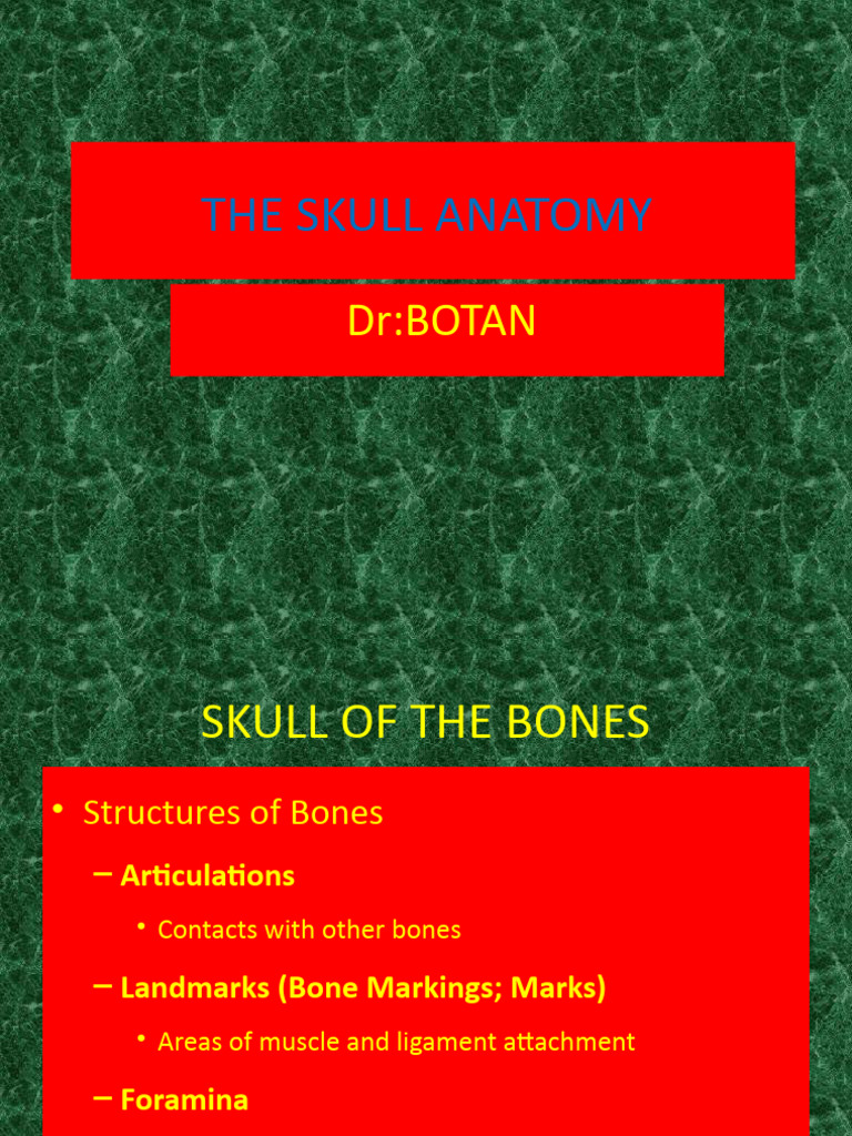 Bones of The Skull (Autosaved) | PDF | Skull | Anatomy