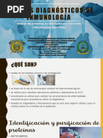 Perfil ENA y detección de autoanticuerpos | PDF | Anticuerpo | Bioquímica
